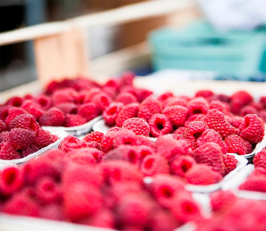 Fresh Organic Mustard Leaves - Mariseth Farms