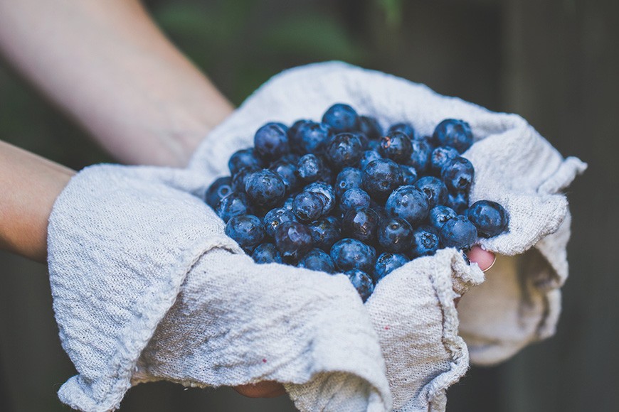 Superfoods you should be eating - Mariseth Farms