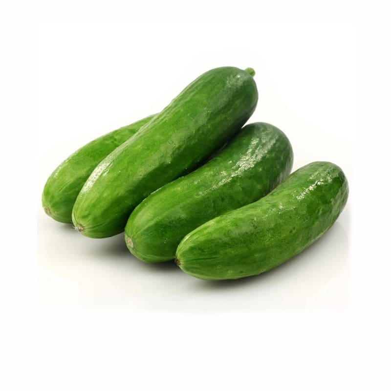 Organic Cucumber – Mariseth Farms
